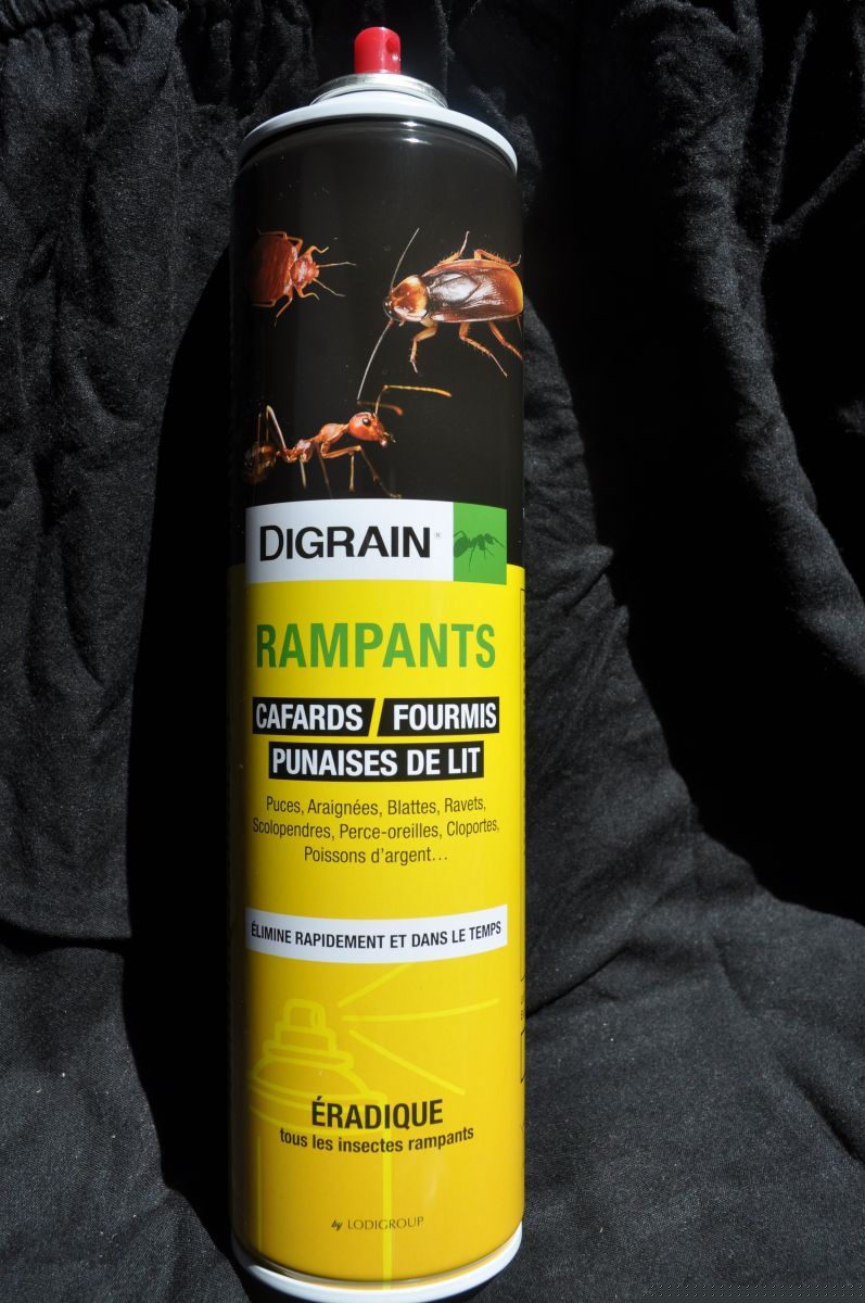 Insecticides tous insectes en Loire Atlantique | ECLA